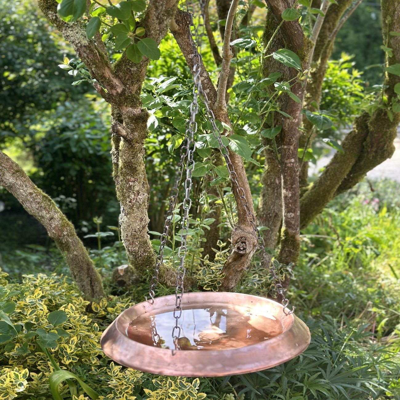 Contemporary Copper Metal Bird Baths for Sale | Verdigris UK