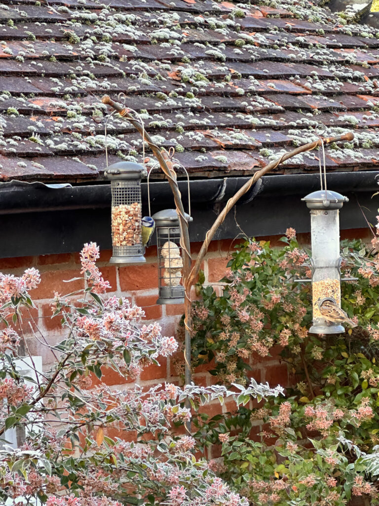 Honor Bird Feeder Tree | Verdigris UK